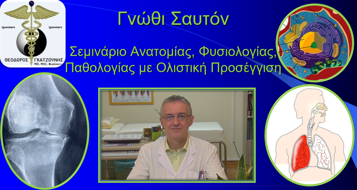 Διαδικτυακό Σεμινάριο Ανατομίας, Φυσιολογίας, Παθολογίας, με Ολιστική ...